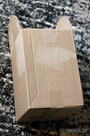 DIY Cardboard Mailbox - Little Red Window