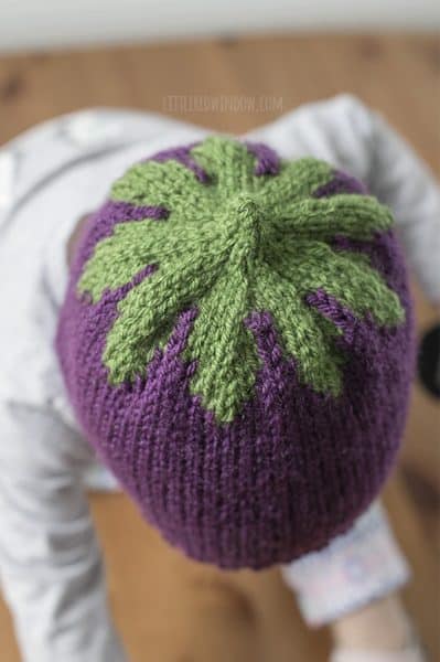 Adorable Eggplant Hat Knitting Pattern - Little Red Window