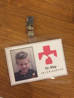 DIY Veterinarian Costume - Little Red Window