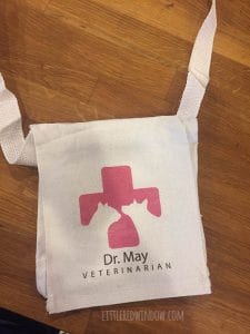 DIY Veterinarian Costume - Little Red Window