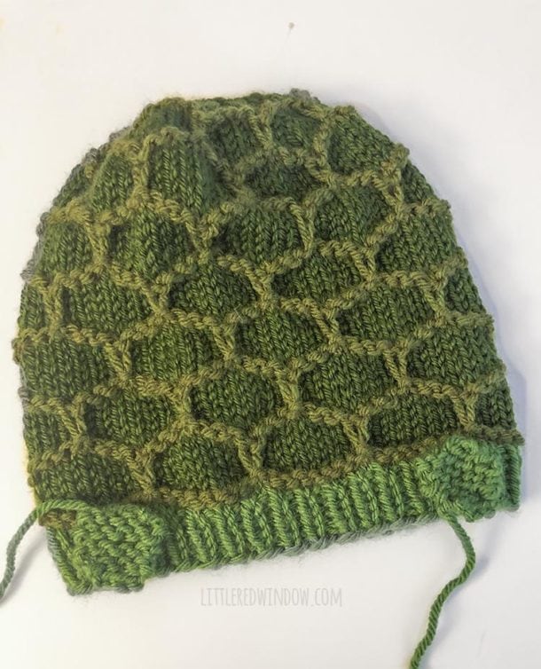 Trusty Turtle Hat Knitting Pattern - Little Red Window