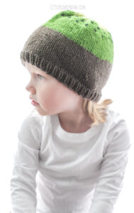 Kiwi Hat Knitting Pattern - Little Red Window