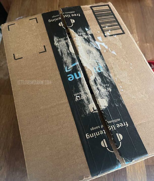 DIY Pencil Costume - Little Red Window