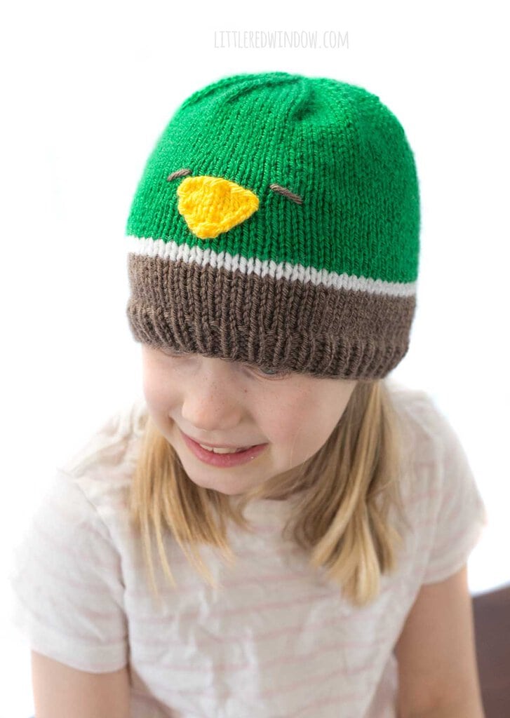 Mallard Duck Hat Knitting Pattern - Little Red Window