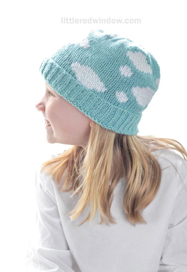 Blue Sky Hat Knitting Pattern - Little Red Window