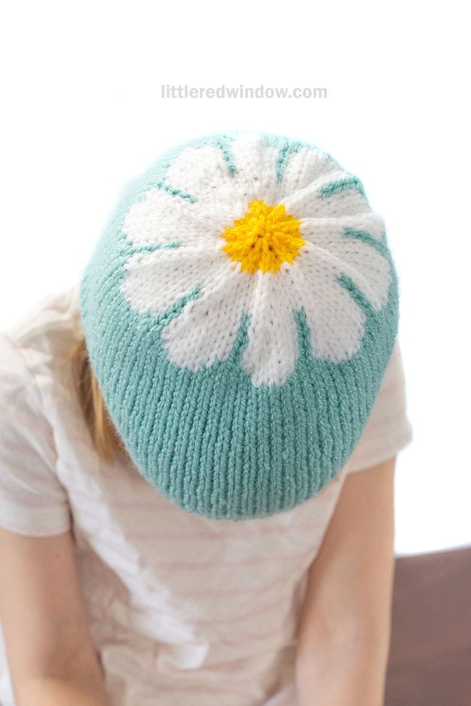 Daisy Top Hat Knitting Pattern - Little Red Window