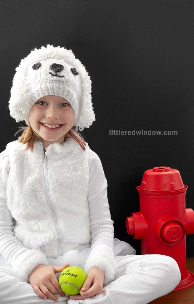 DIY Fire Hydrant and Poodle Costume - Little Red Window